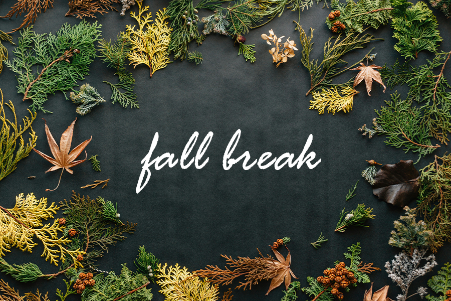 Nov 10-14 | Fall Break, Upcoming Dates, Photo Retakes, Gr 6 ...